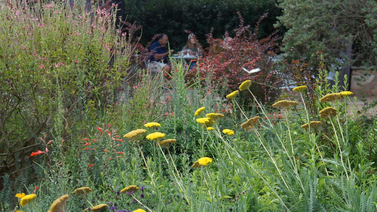 Living Landscape Adaptation Plan | Office of Campus Planning